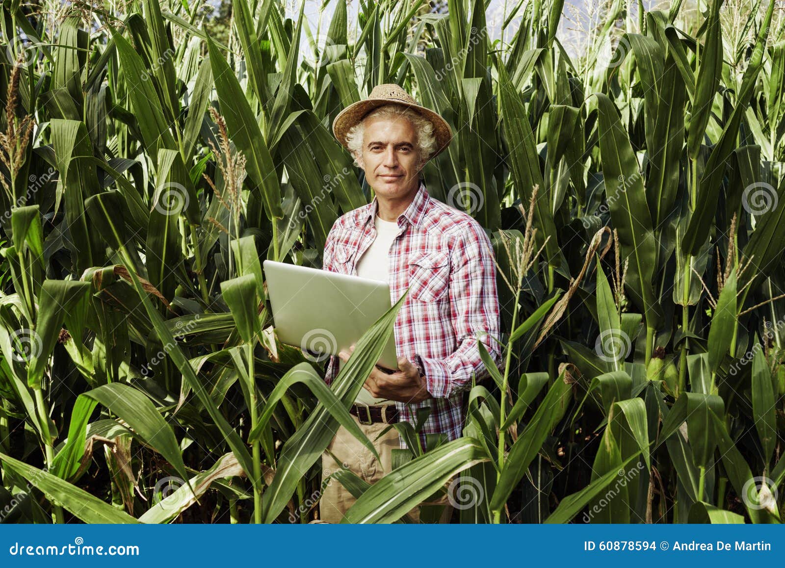 Farmer Using A Laptop In The Field Stock Photo - Image of laptop ...