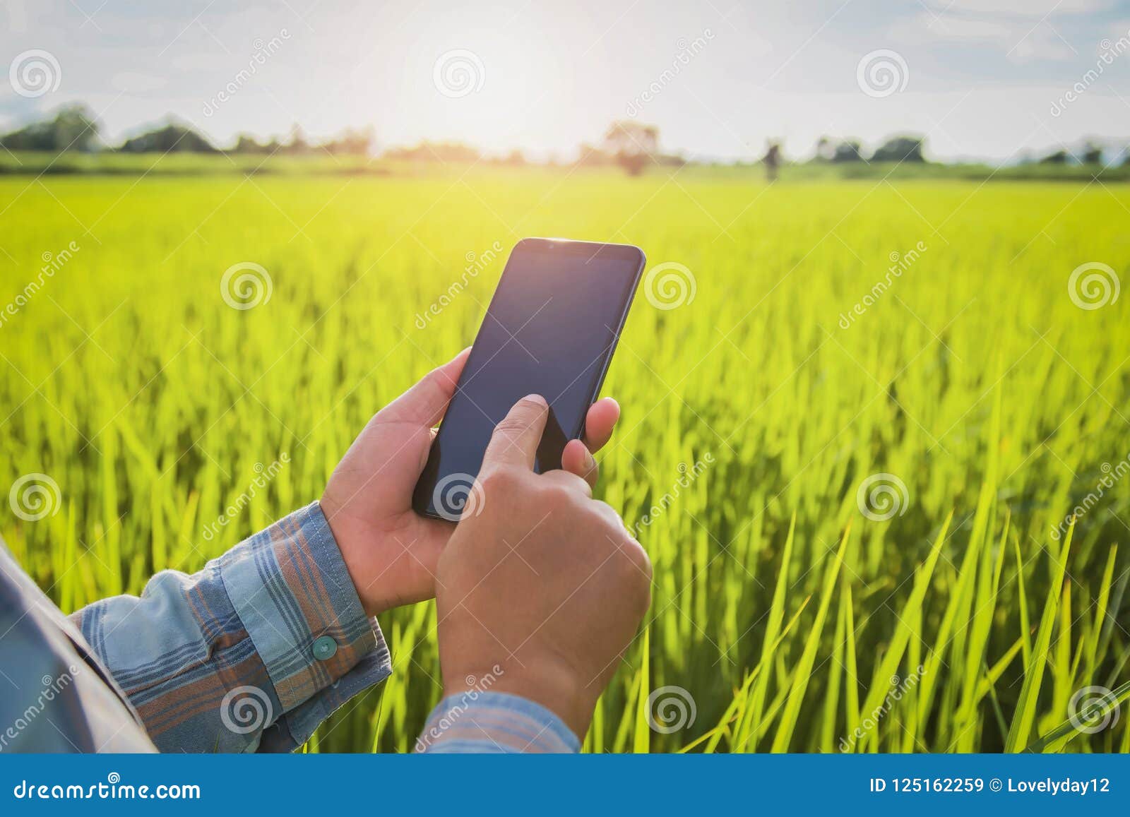 Farmer Using Mobile Checking Report of Agriculture Stock Image - Image ...