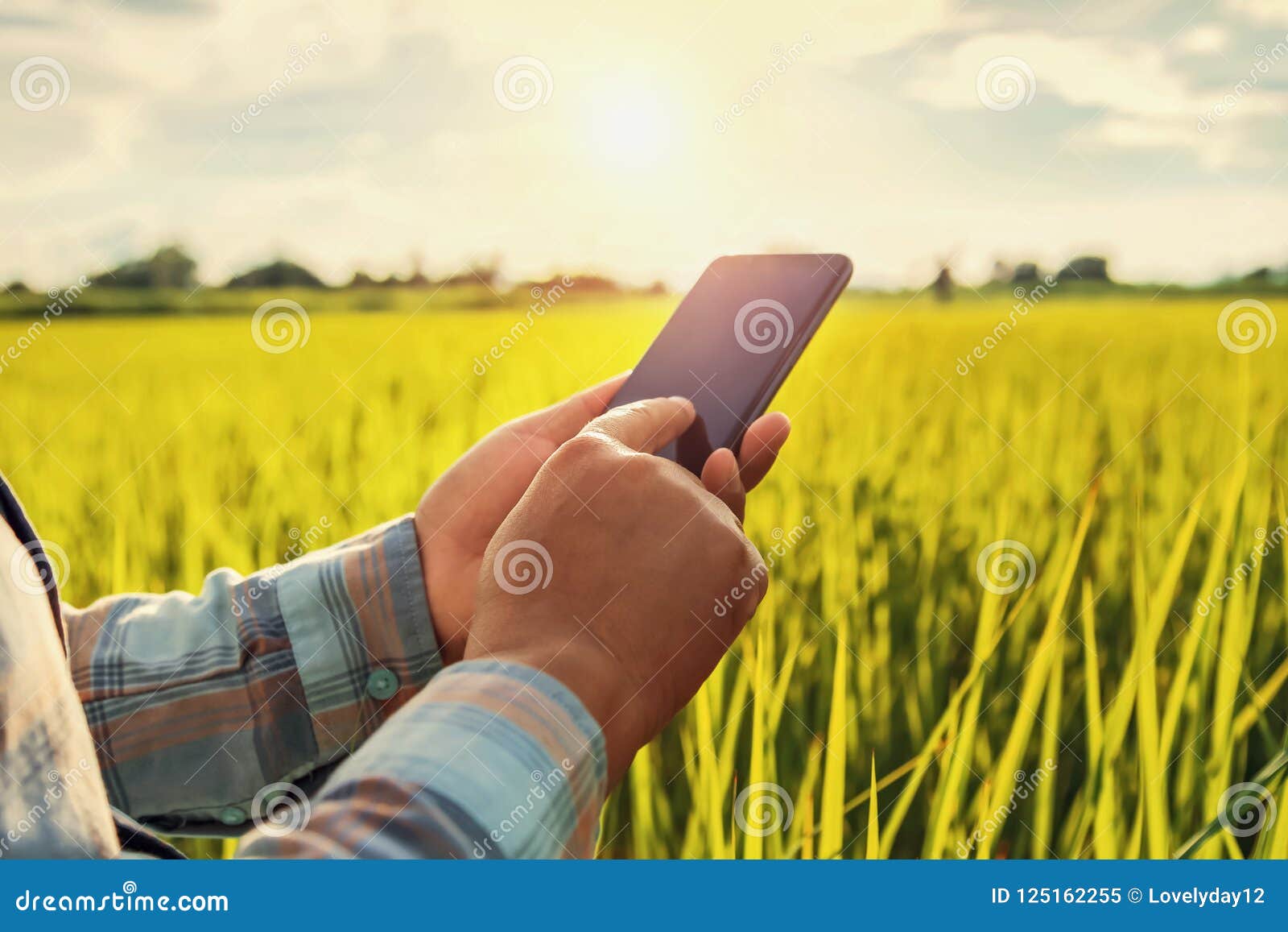 Farmer Using Mobile Checking Report of Agriculture Stock Image - Image ...