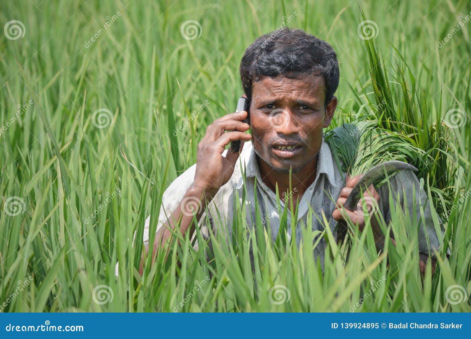 Farmer Using the Mobile Phone Need for Information Editorial Image ...