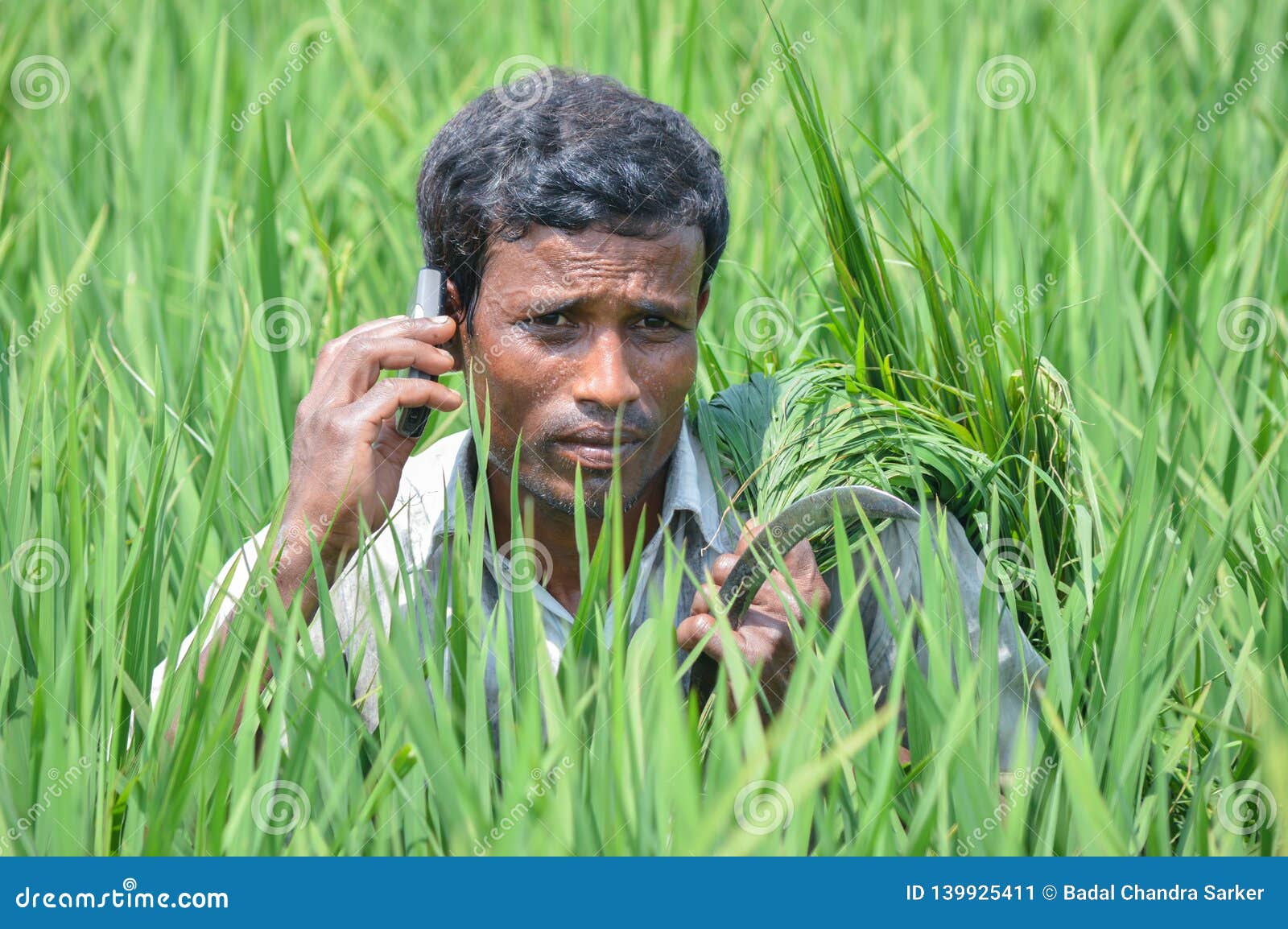 Farmer Using the Mobile Phone Need for Information Editorial Photo ...
