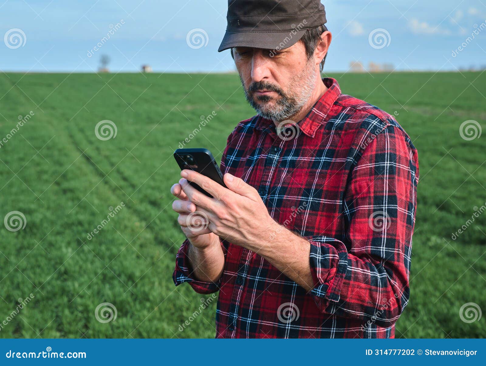 Farmer Using Mobile Smartphone in Wheat Seedling Field, Smart Farming ...