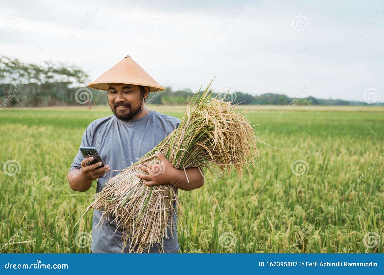Farmer Using Smart Technology Gadget for Agriculture Stock Image ...