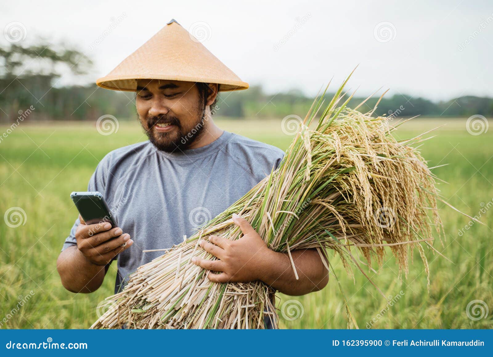 Farmer Using Smart Technology Gadget for Agriculture Stock Photo ...
