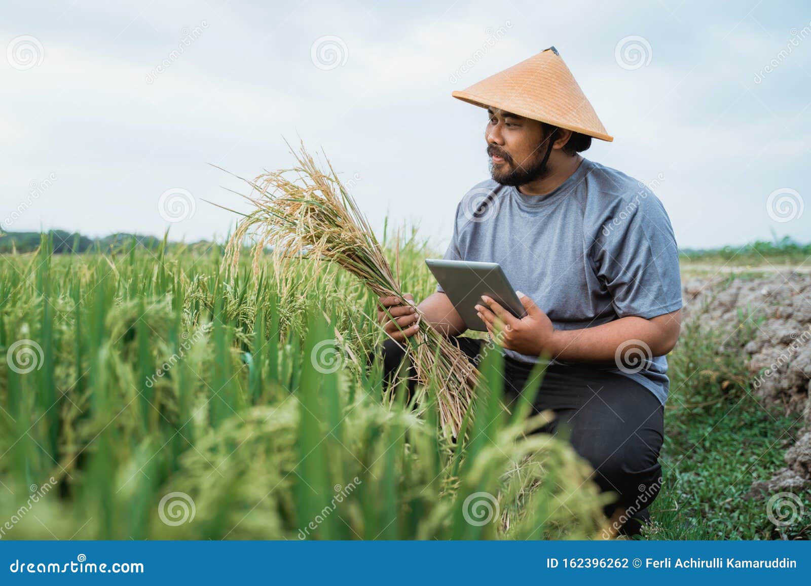 Farmer Using Smart Technology Gadget for Agriculture Stock Photo ...