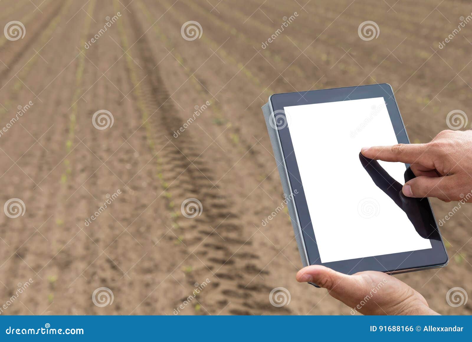 Farmer Using Tablet Computer in Agricultural Cultivated Field. W Stock ...