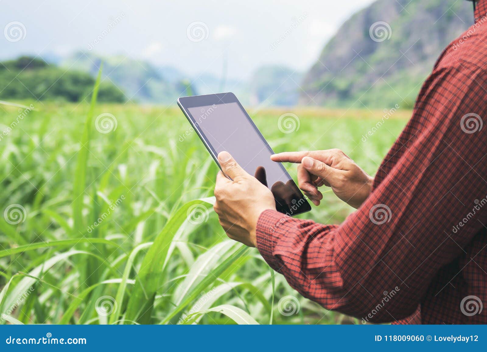 Farmer Using Tablet Computer Checking Data of Agriculture Sugarcene ...