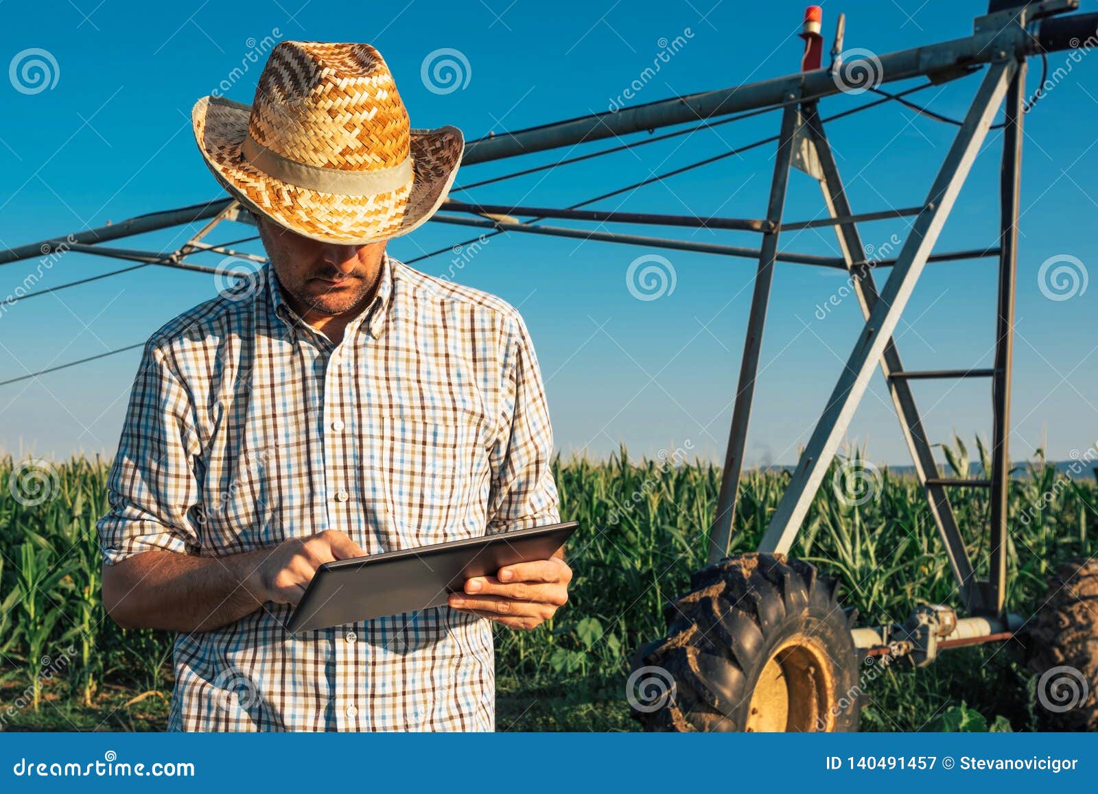 Farmer Using Tablet Computer in Cornfield with Irrigation System Stock ...