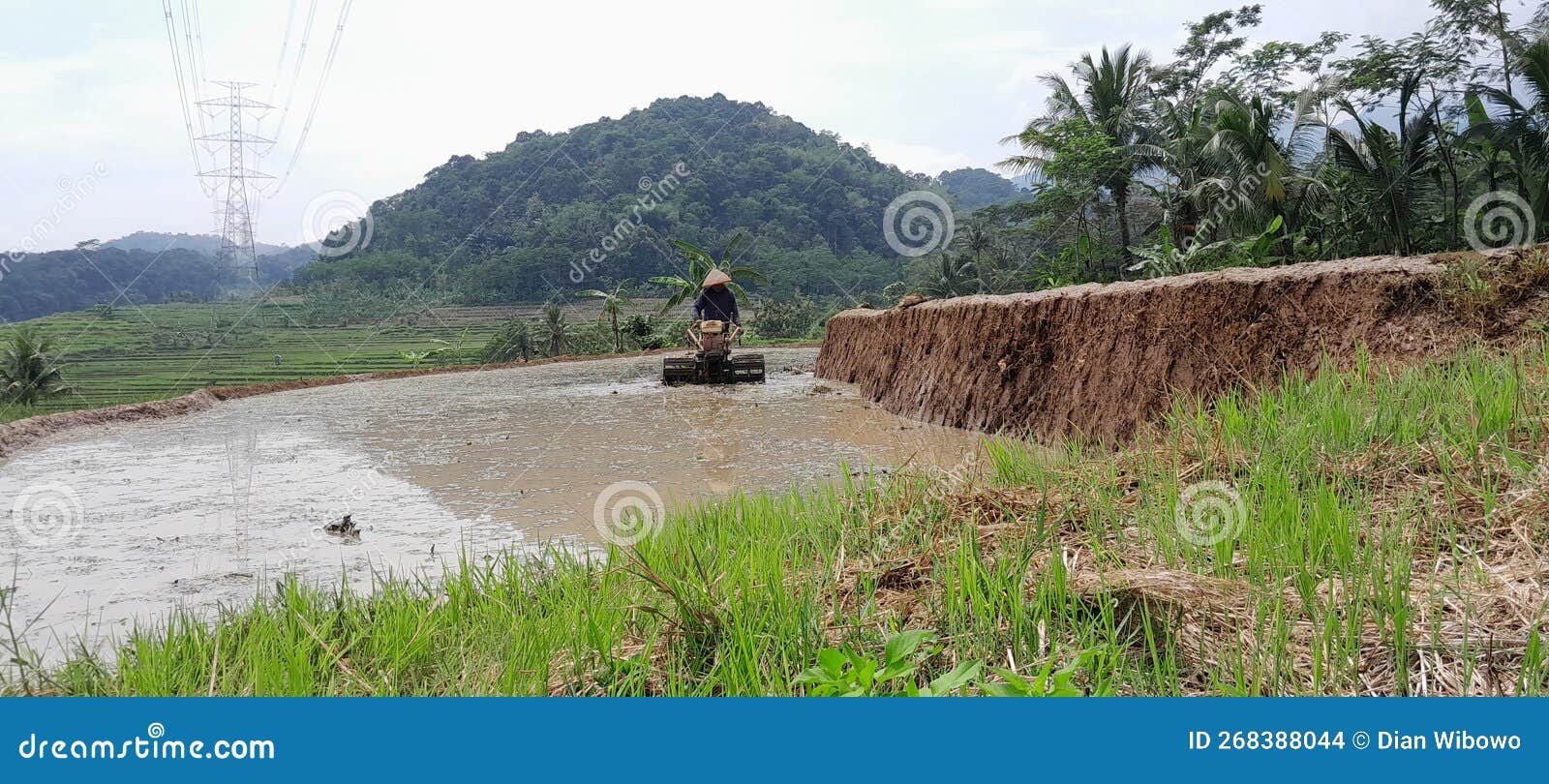 A Farmer is Using a Tractor To Plow the Field. Editorial Stock Image ...