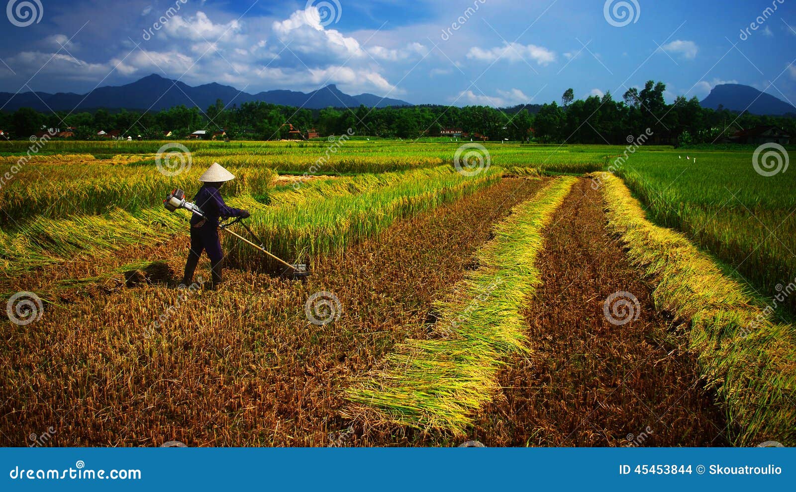 Farmer in Vietnam stock photo. Image of mower, culture - 45453844