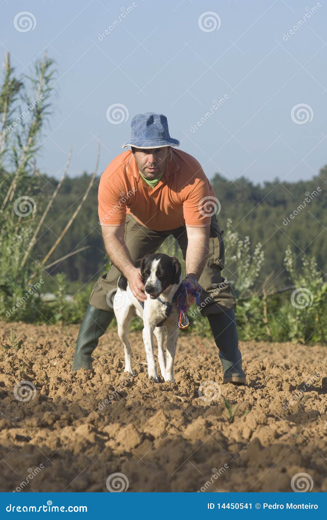 Farmer walking with is dog stock image. Image of grain - 14450541