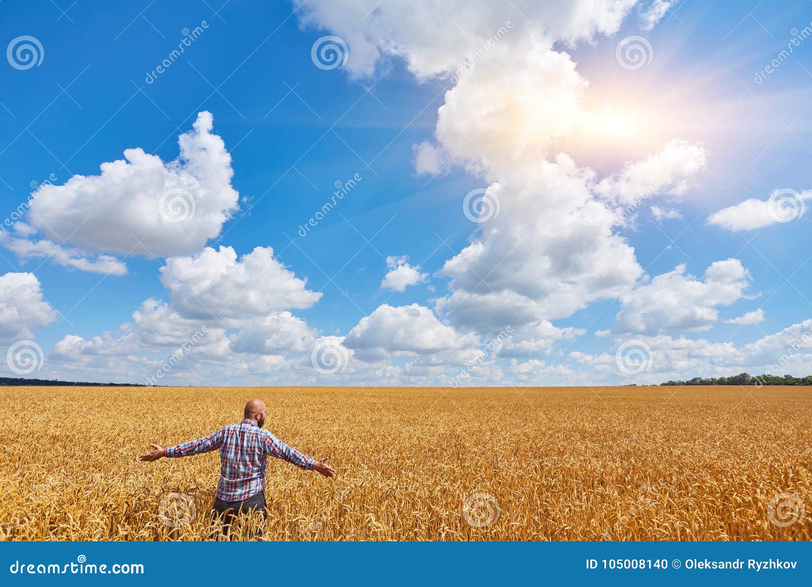 Farmer Walking through a Wheat Field Stock Photo - Image of ground ...
