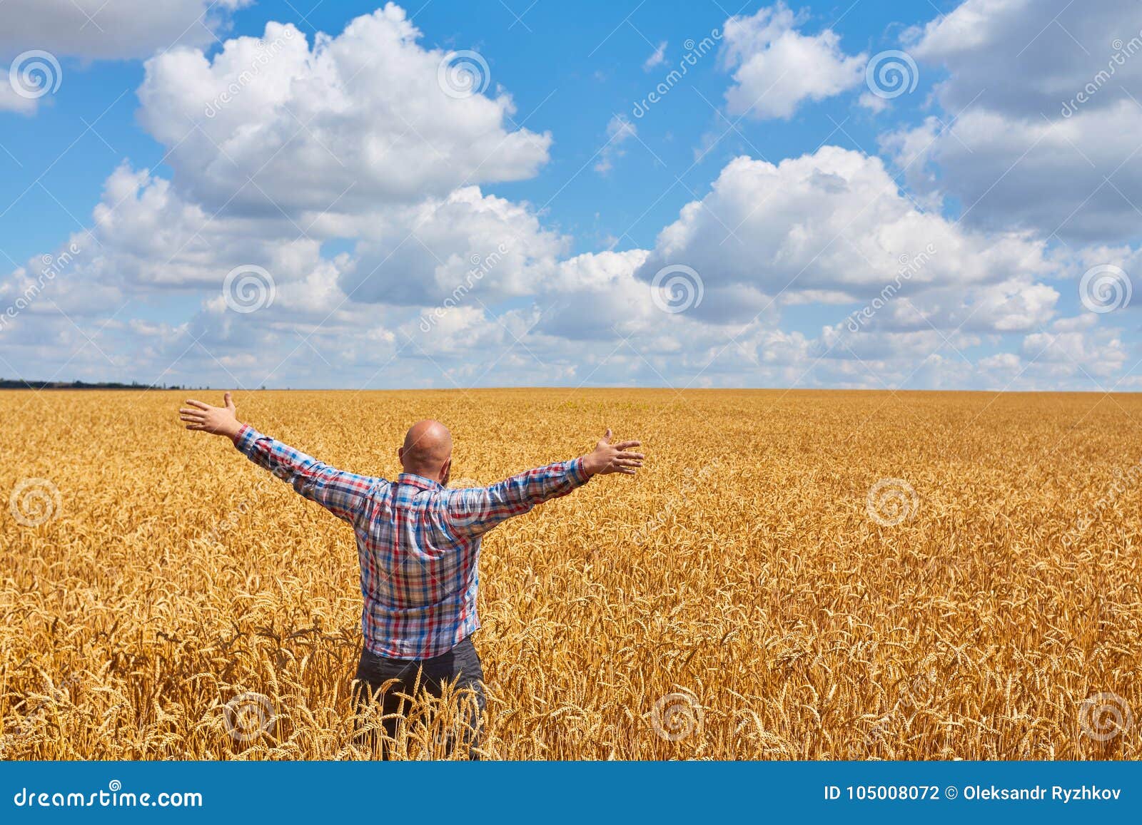 Farmer Walking through a Wheat Field Stock Photo - Image of farmland ...