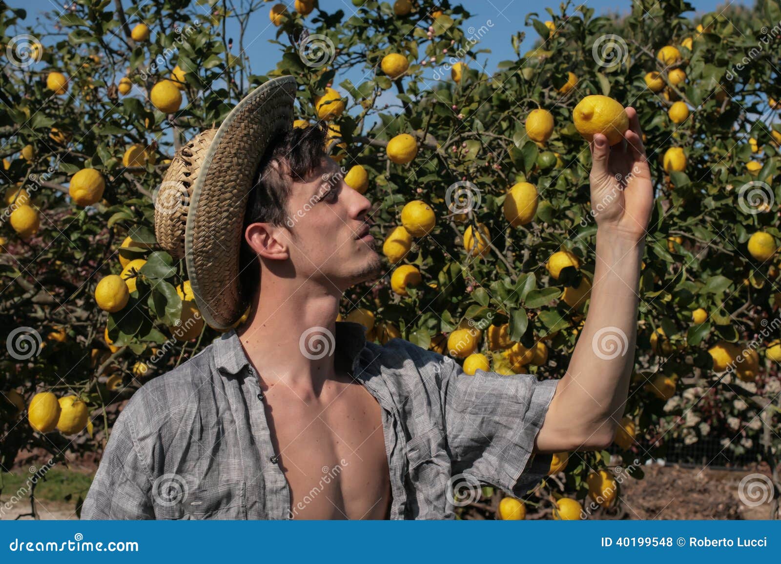 Farmer watch a lemon stock photo. Image of handcrafted - 40199548
