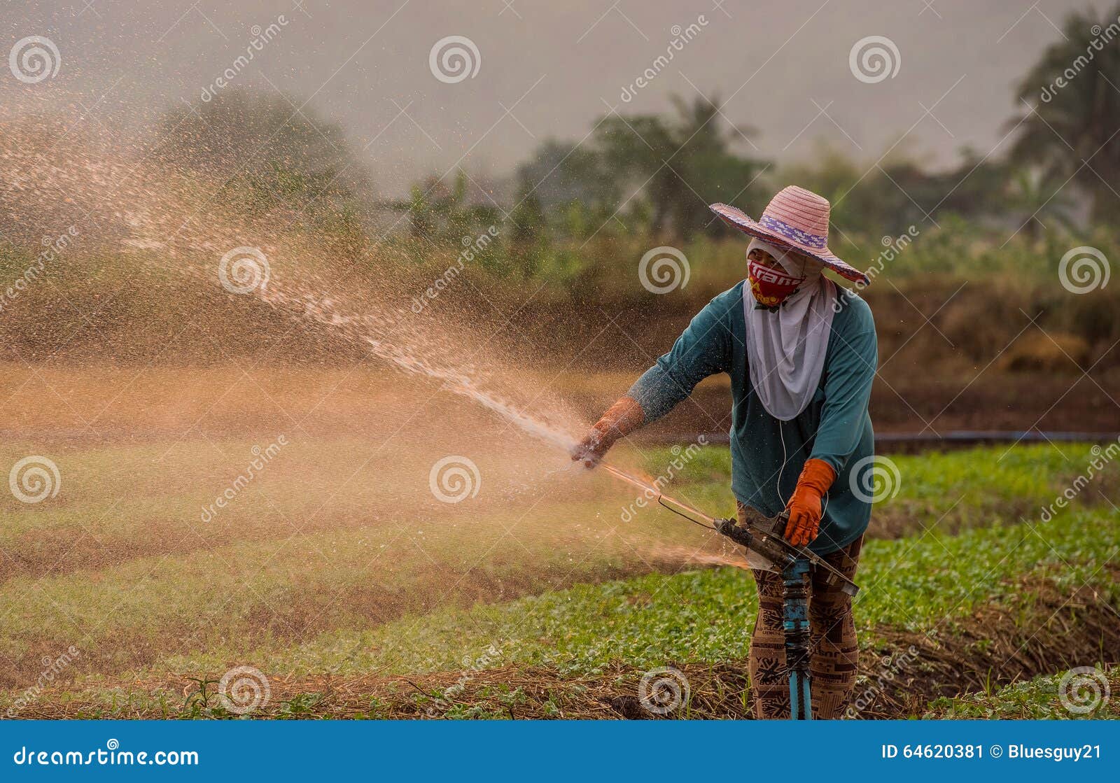 A Farmer Is Watering Plants Editorial Image | CartoonDealer.com #150729812