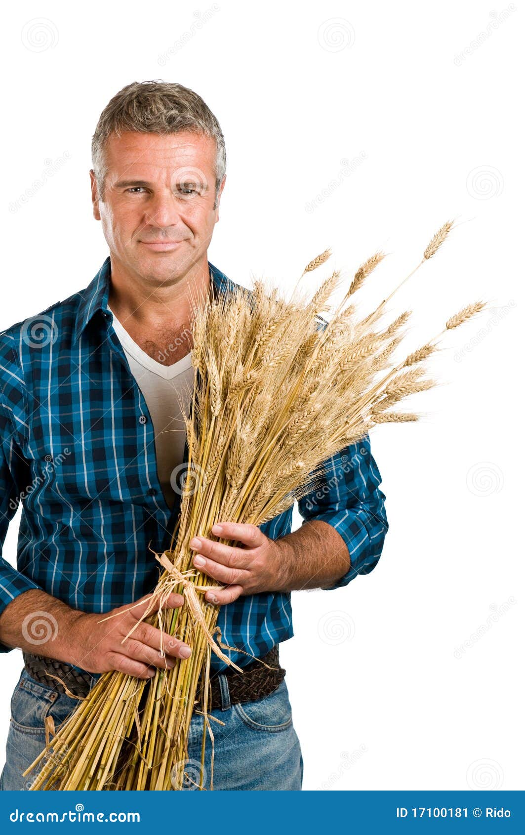 Farmer with wheat stock image. Image of caucasian, holding - 17100181