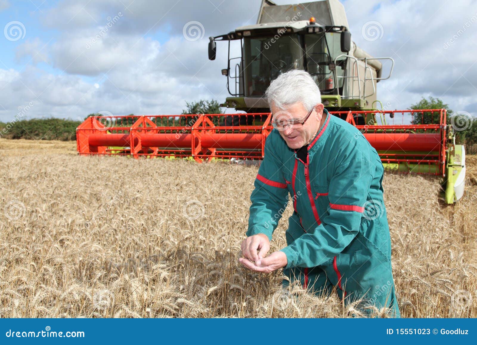 Farmer in wheat field stock image. Image of harvester - 15551023