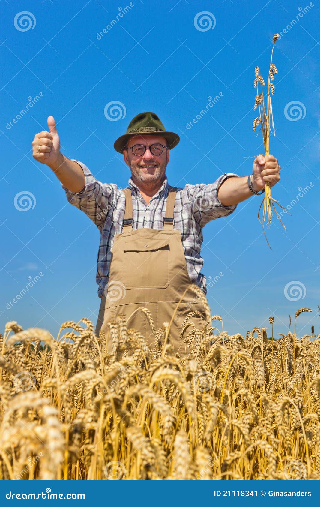 Farmer in a wheat field stock image. Image of price, landschaftspflege ...
