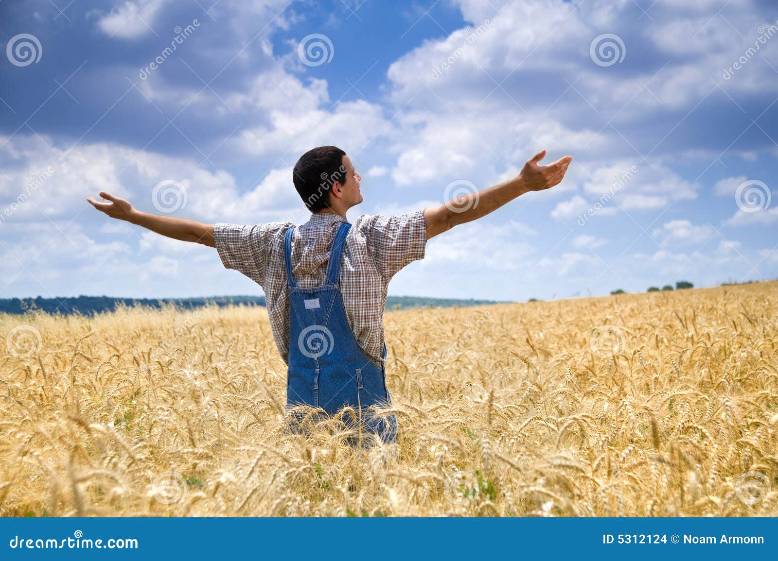 Farmer in a wheat field stock photo. Image of crop, golden - 5312124
