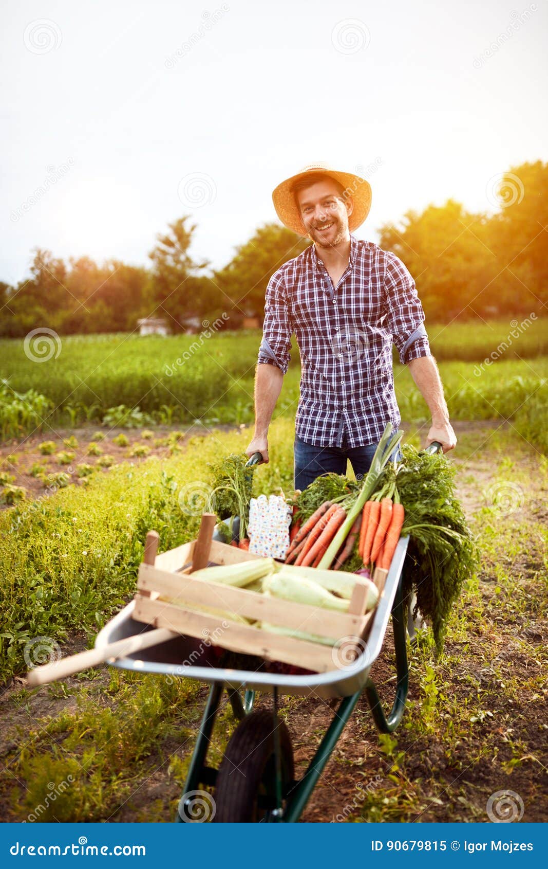 Farmer with Wheelbarrow Full of Vegetables Stock Image - Image of food ...