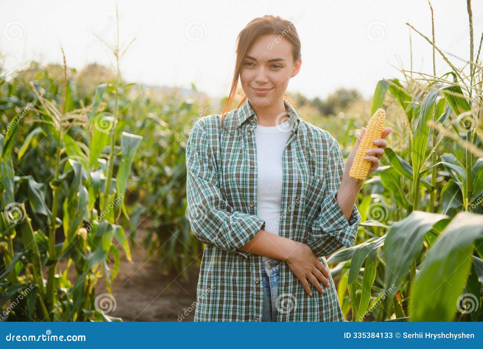 Farmer Woman Holding Corn in Hand. Farmer Harvesting Corn Stock Image ...