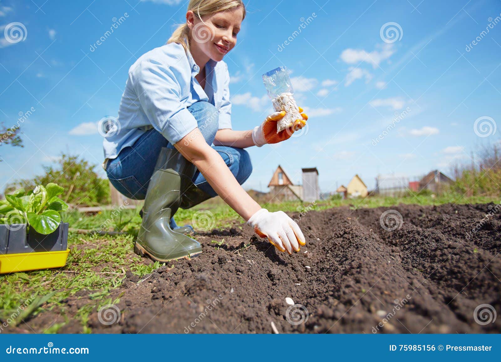 Farmer at work stock photo. Image of farmer, gardener - 75985156