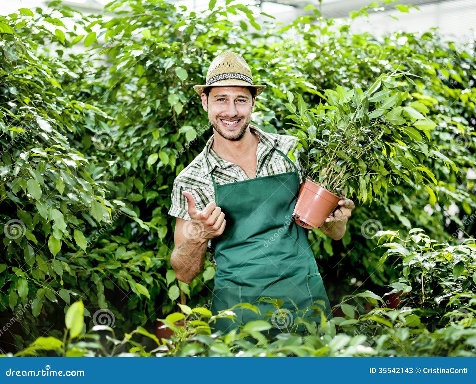 Farmer at work stock image. Image of portrait, checked - 35542143