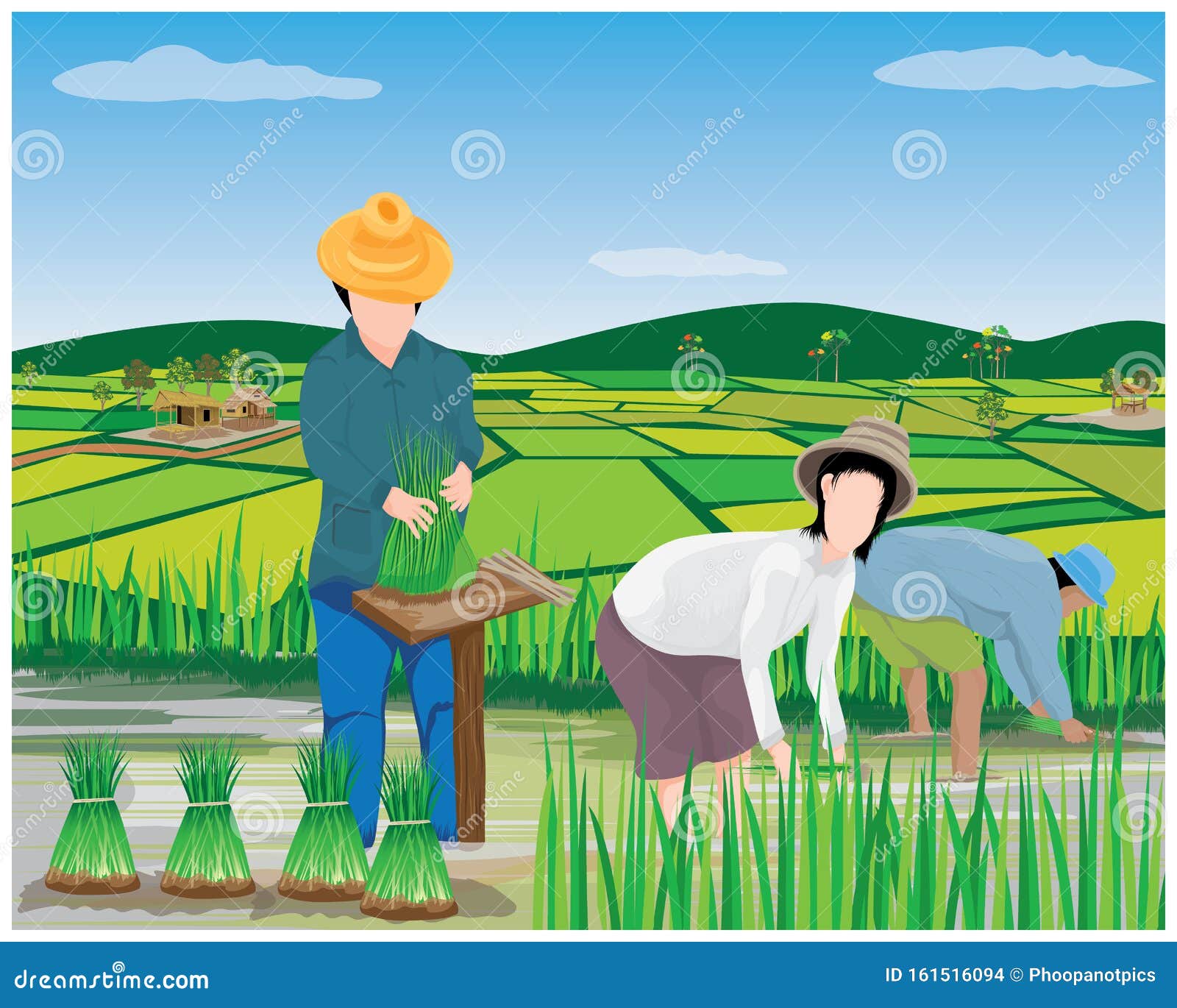 Farmer work in paddy field stock vector. Illustration of lifestyle ...