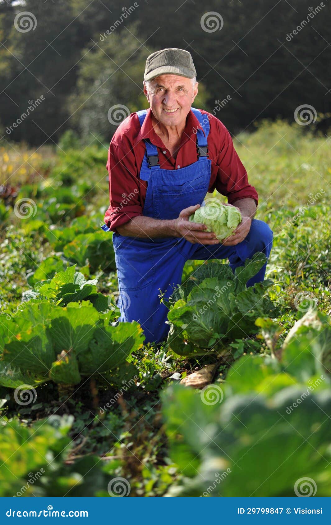 Farmer working at field stock image. Image of natural - 29799847