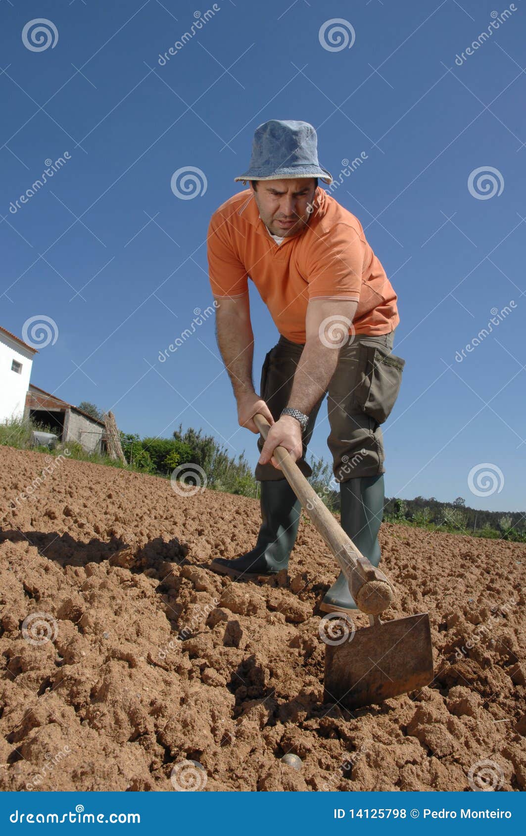 Farmer working on the farm stock photo. Image of competent - 14125798