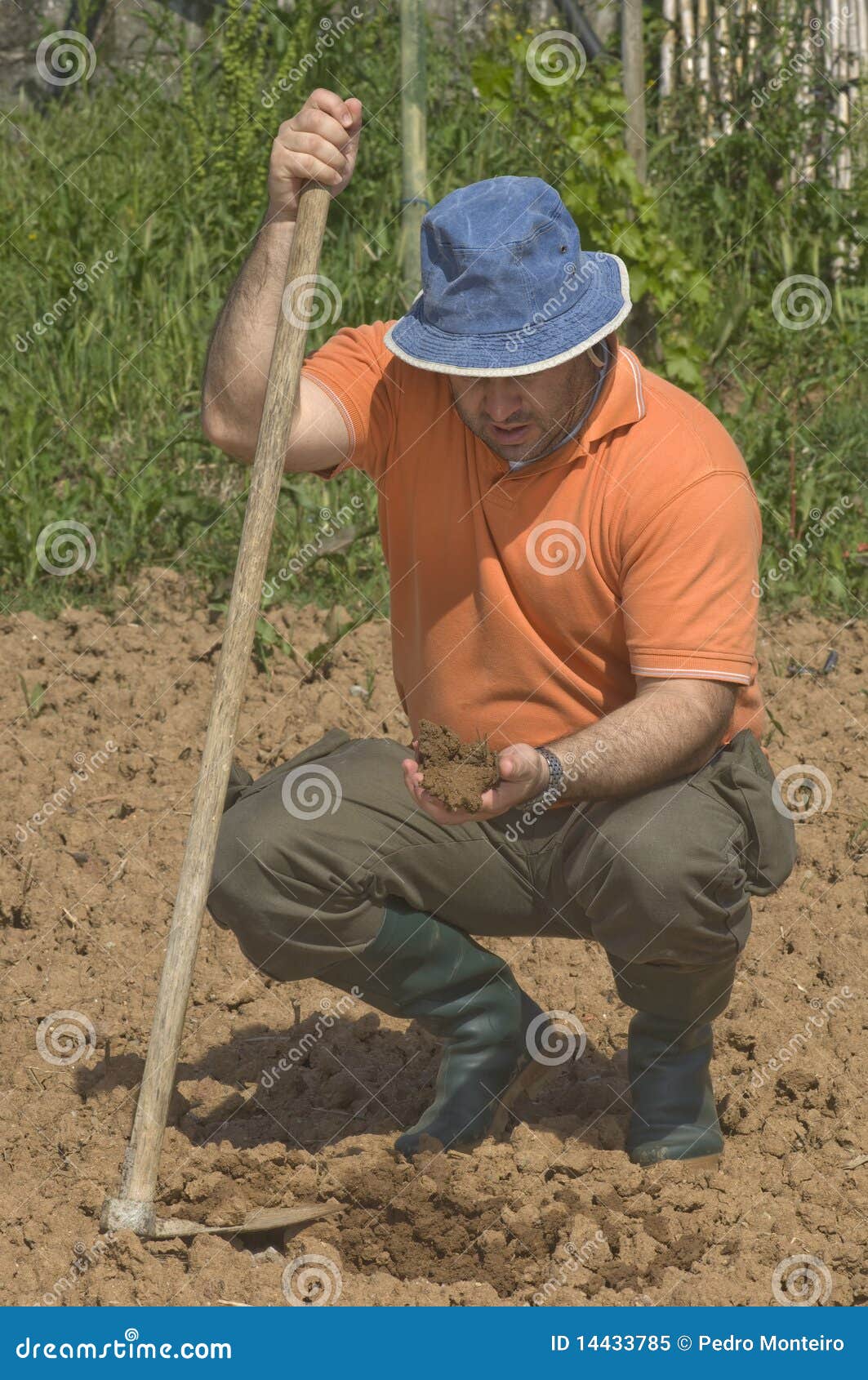 Farmer working on the farm stock image. Image of grain - 14433785