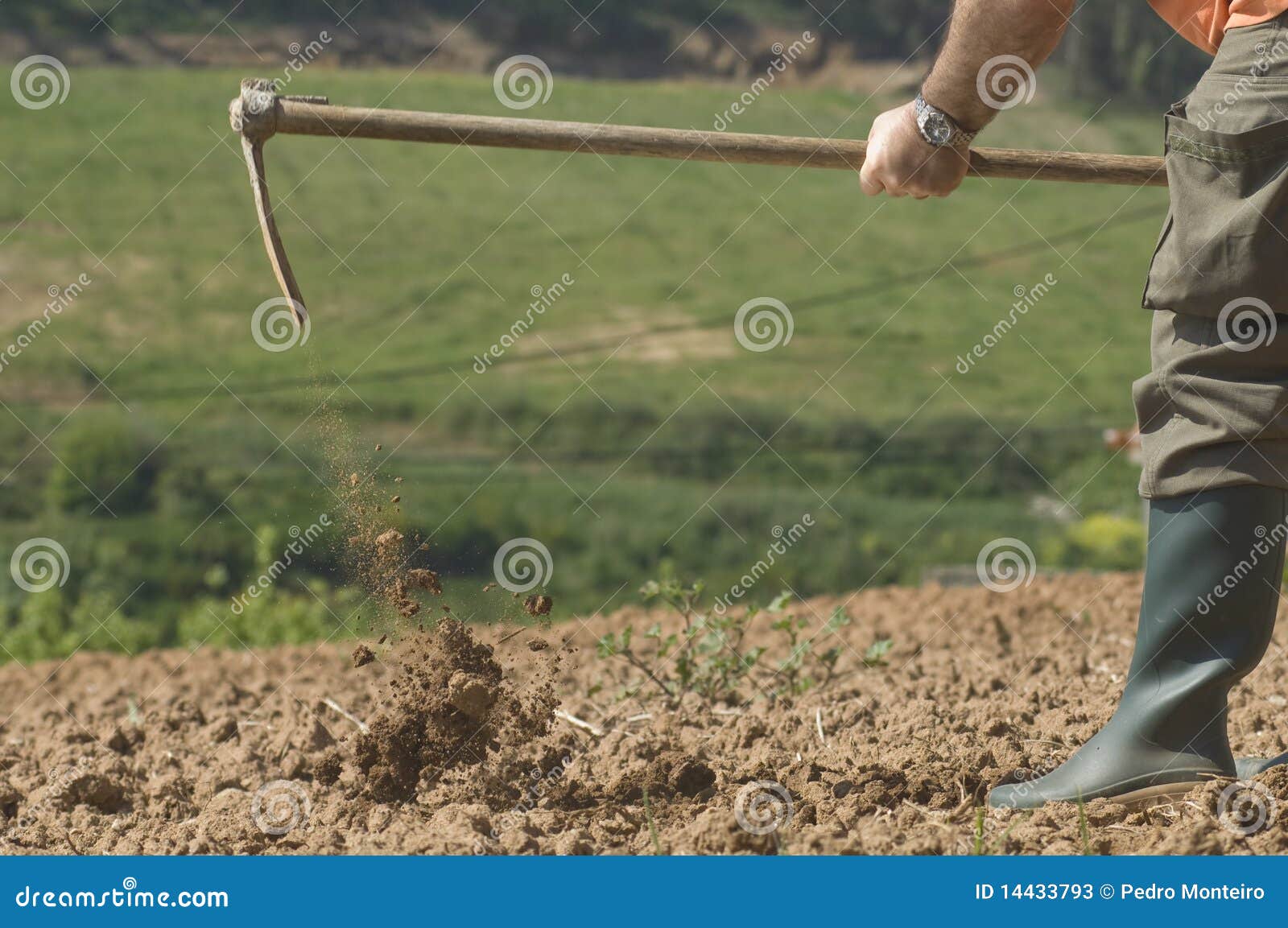 Farmer working on the farm stock image. Image of pasture - 14433793