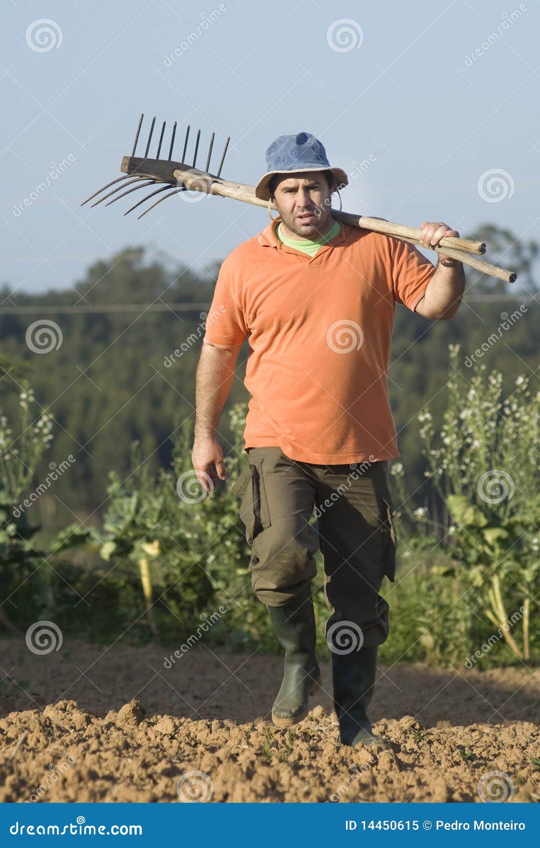 Farmer working on the farm stock image. Image of field - 14450615