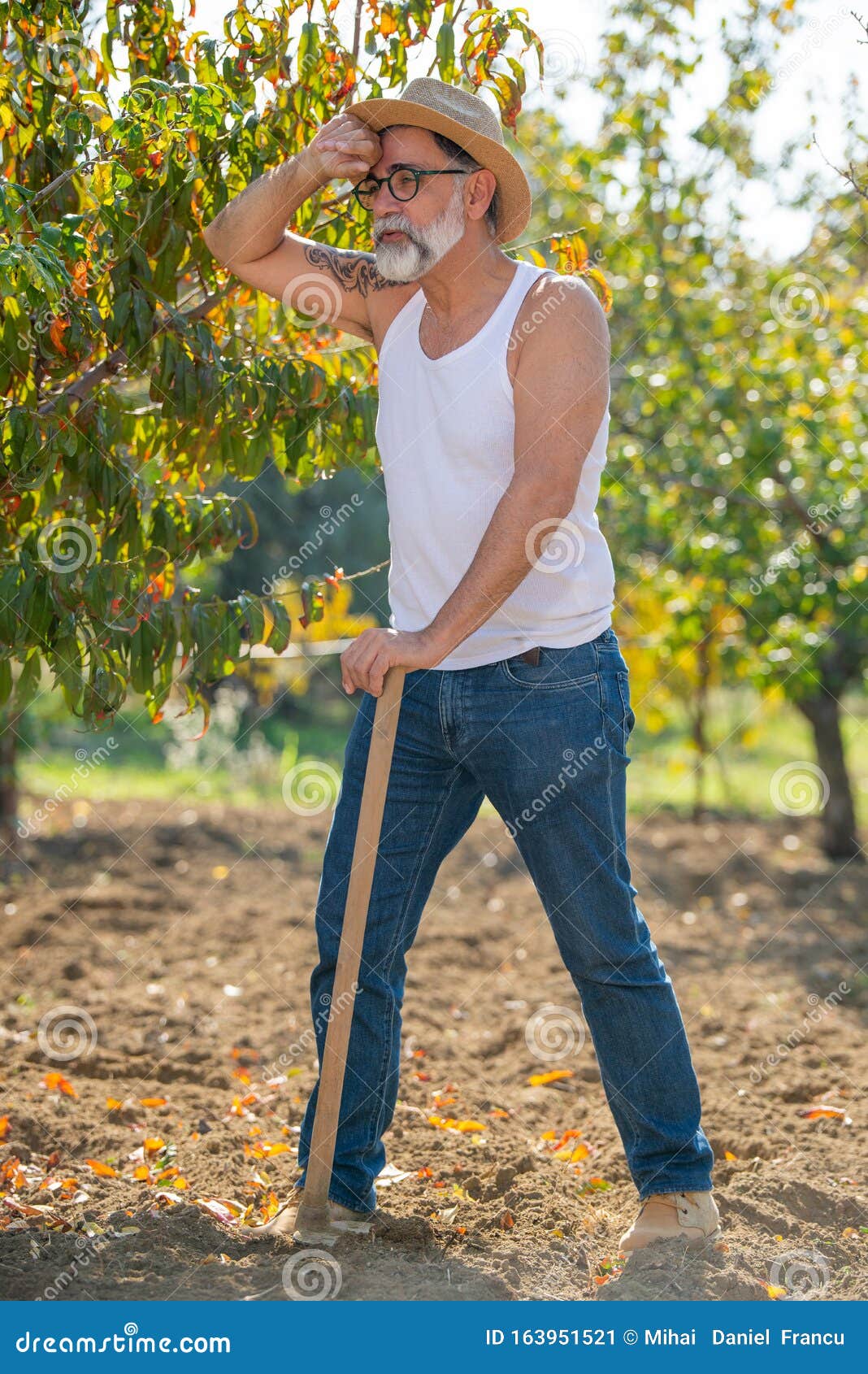 Farmer Working on the Farm. Stock Image - Image of beautiful, happy ...