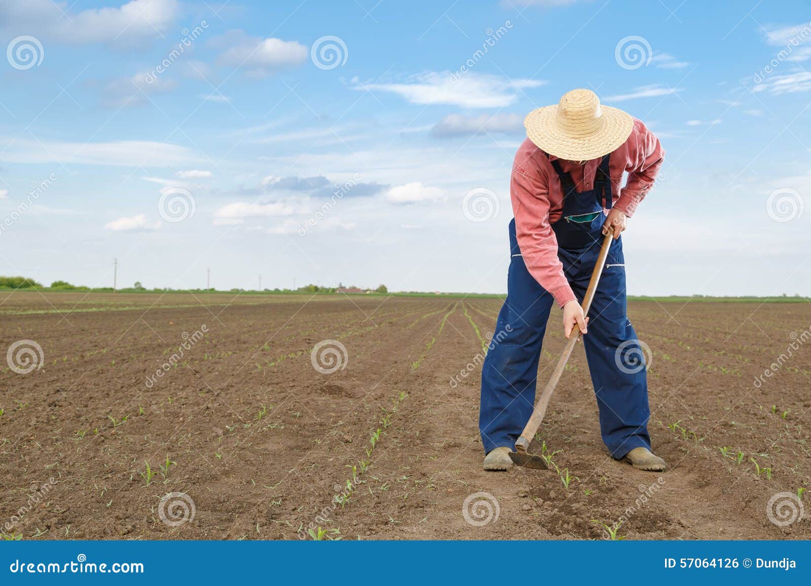 Farmer stock photo. Image of work, farmer, copyspace - 57064126