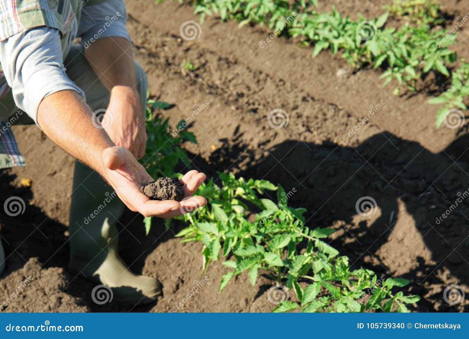 Farmer working in field stock photo. Image of nonurban - 105739340