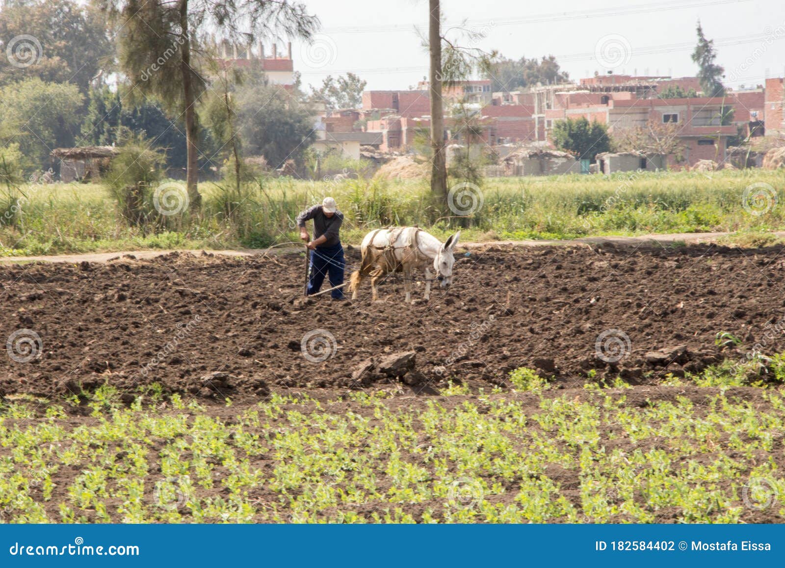 Farmer Working in the Field Editorial Photography - Image of view, time ...