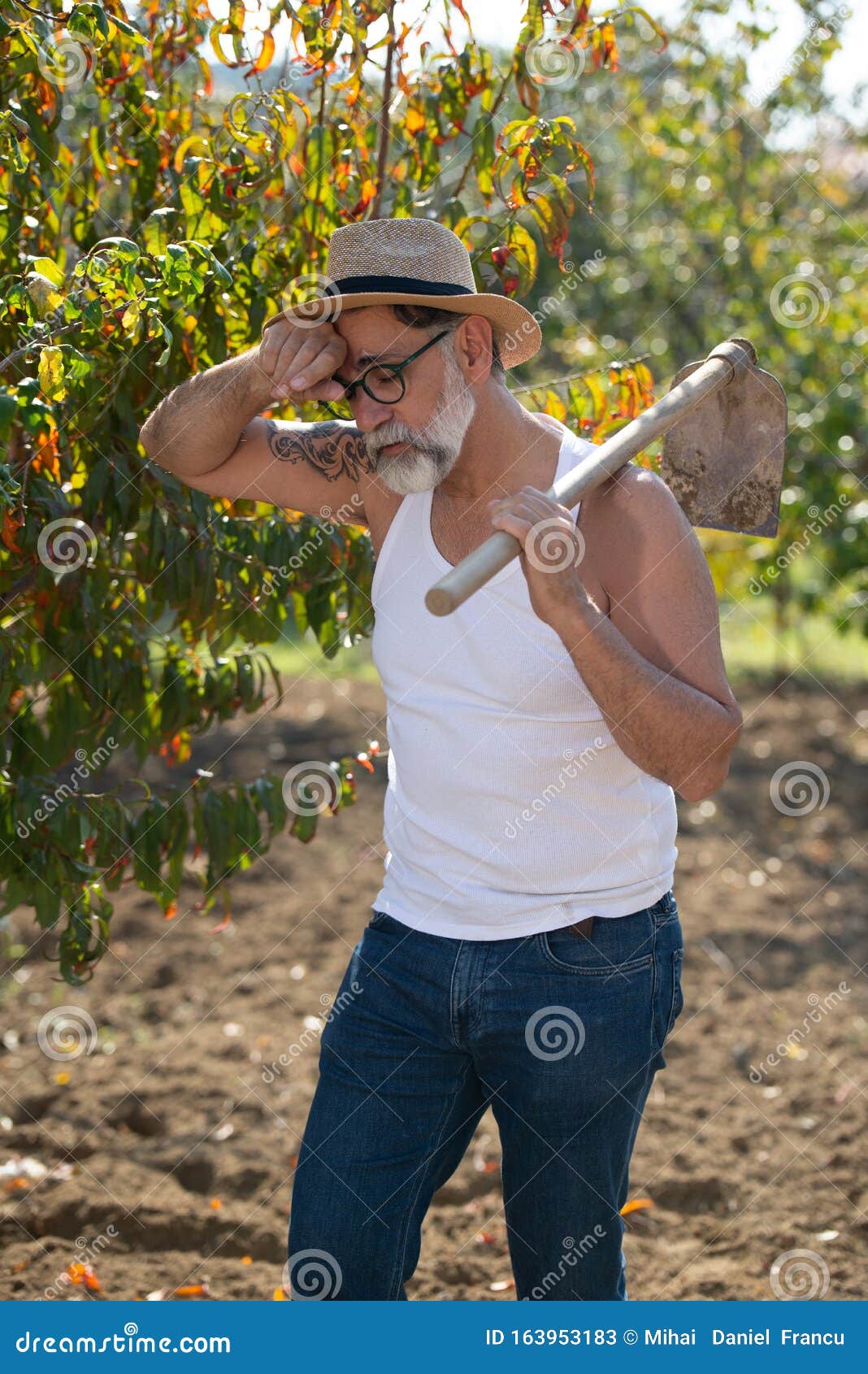Farmer Working on the Farm. Stock Image - Image of lime, gardener ...