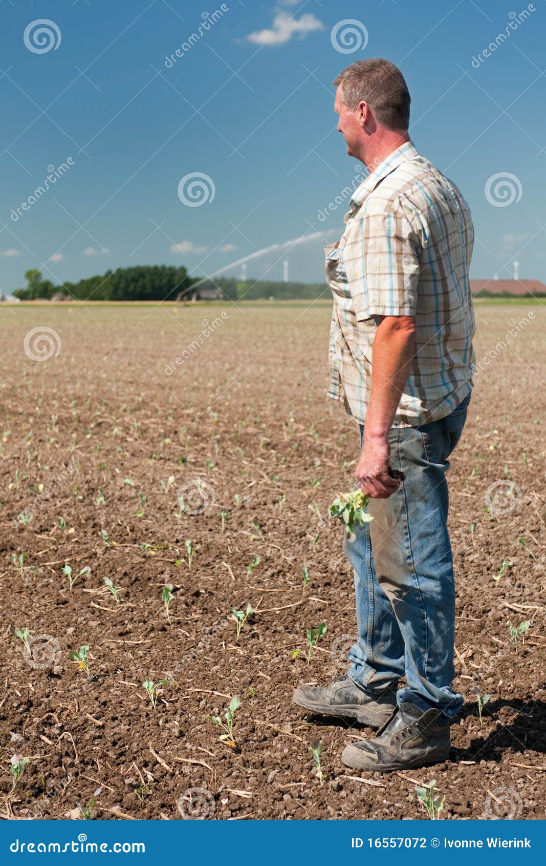 Farmer Working The Fields In Spring Besides Huge Wind Turbines Royalty ...