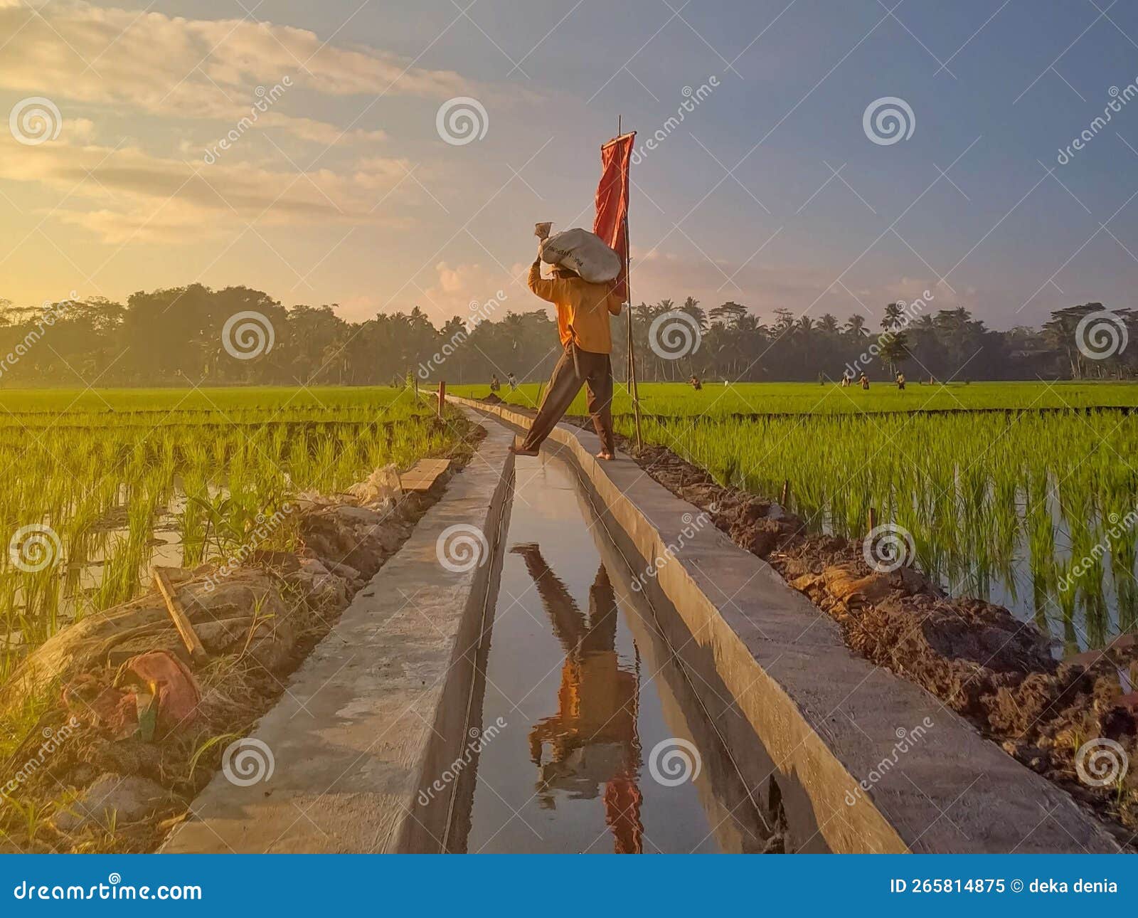 A Farmer Working in the Fields in the Morning Stock Image - Image of ...