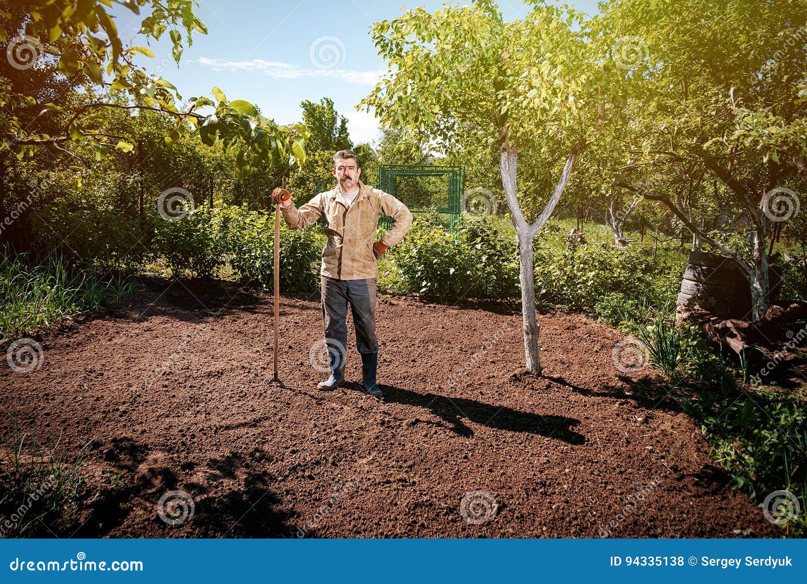 Farmer Working in the Garden with the Help of a Rake Leveling Pl Stock ...
