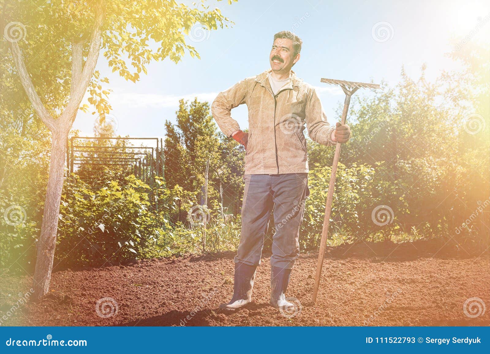 Farmer Working in the Garden with the Help of a Rake Leveling Pl Stock ...