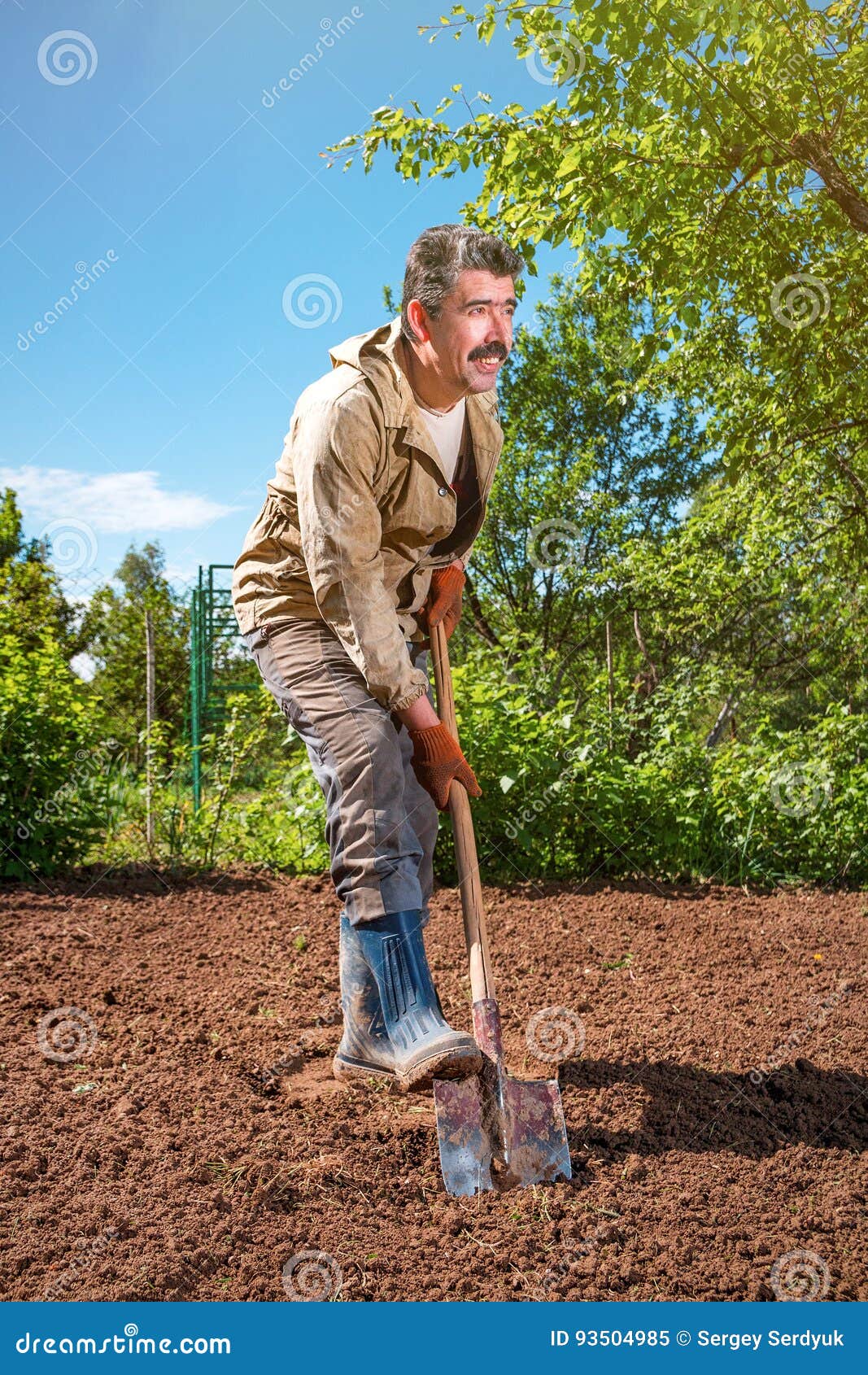 Farmer Working in the Garden with the Help of a Shovel Digging T Stock ...