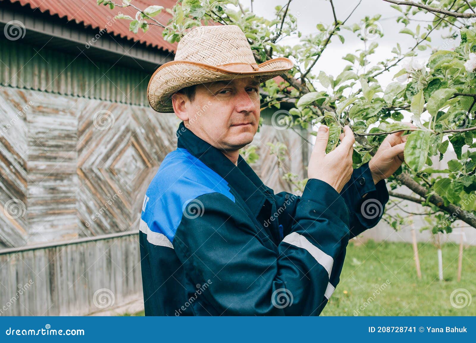 Farmer Working in Garden and Looking on Plants Stock Image - Image of ...