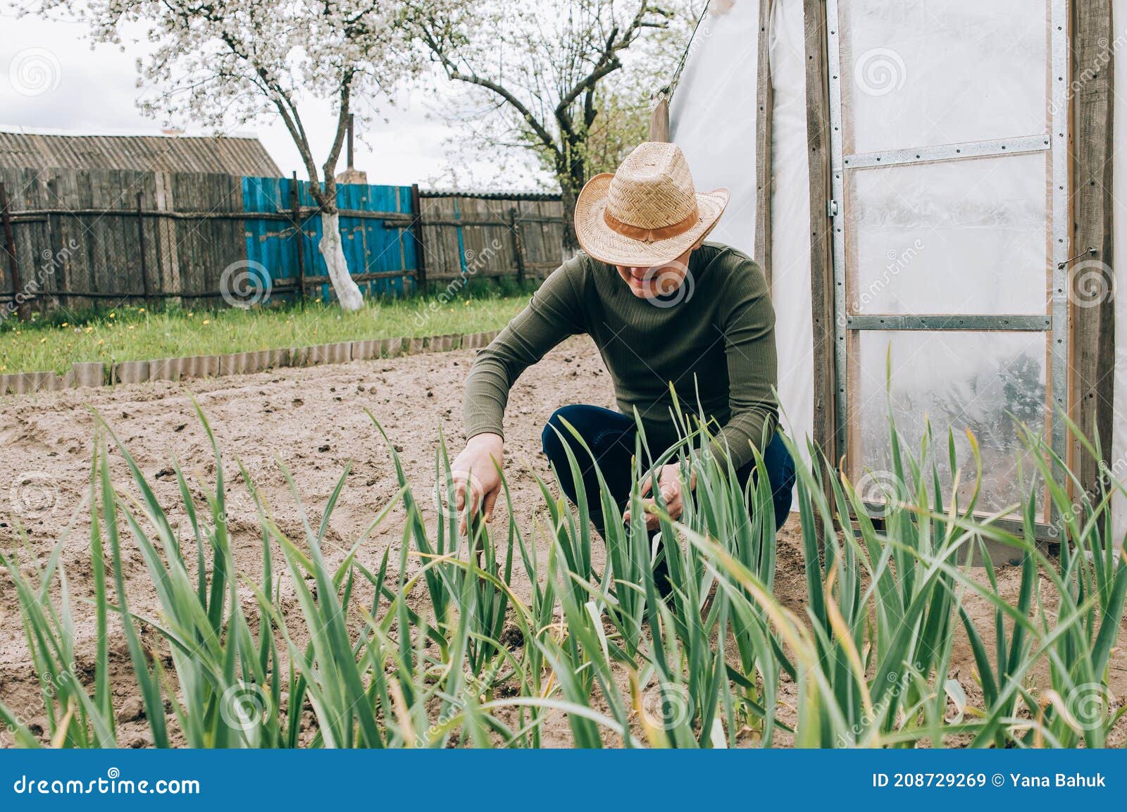Farmer Working in Garden and Looking on Plants Stock Image - Image of ...