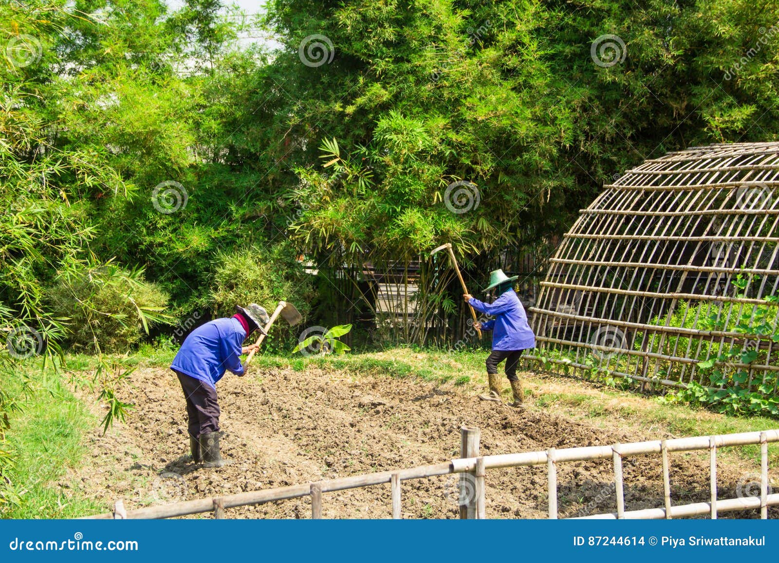 Farmer working in garden editorial stock image. Image of farmer - 87244614