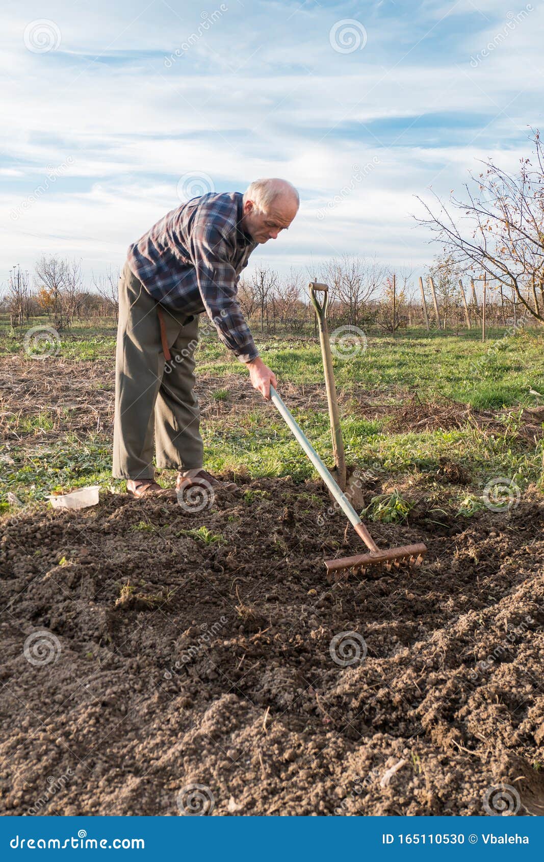 Farmer Working with a Rake in the Garden Stock Photo - Image of ...