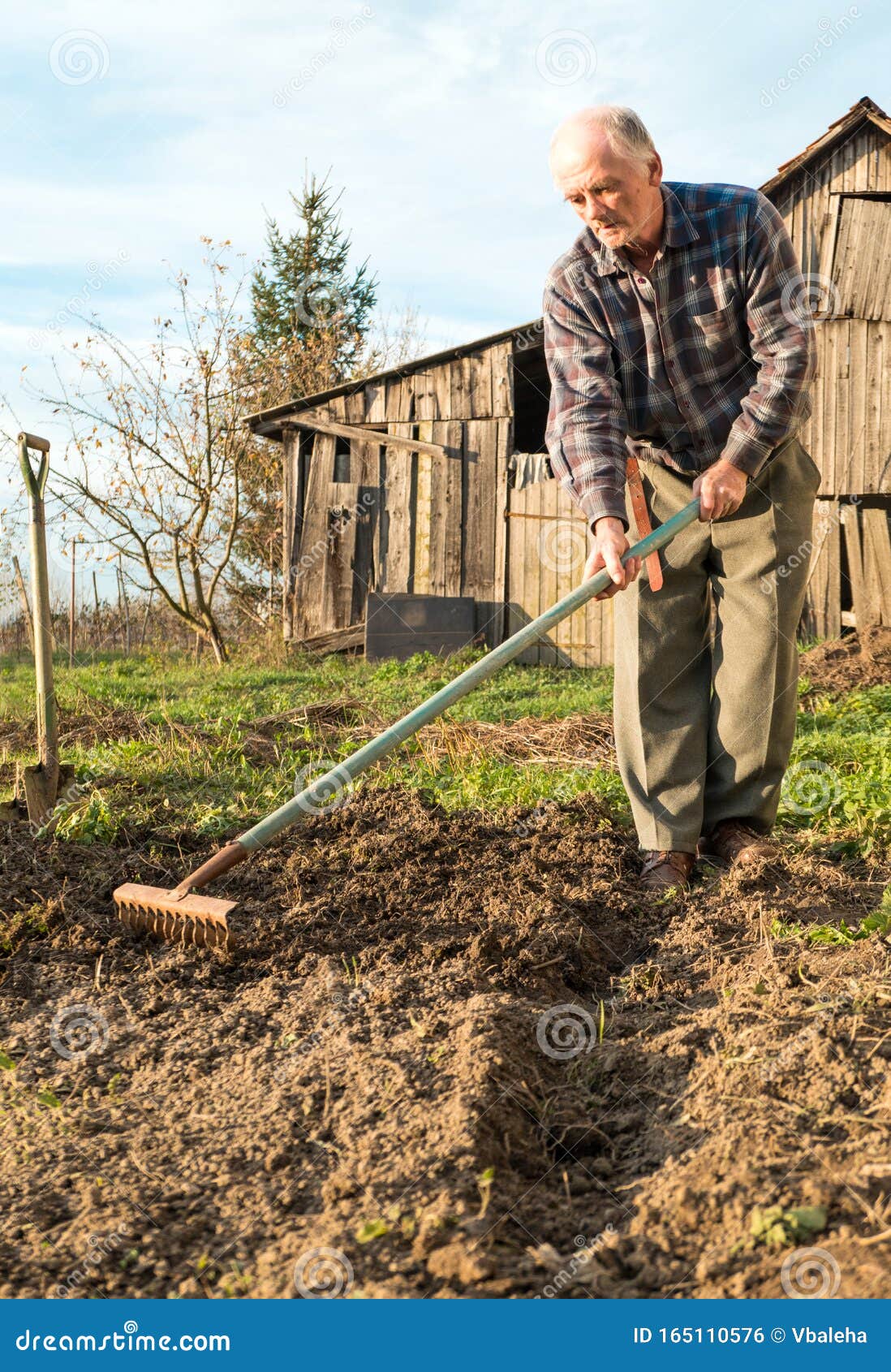 Farmer Working with a Rake in the Garden Stock Photo - Image of spring ...