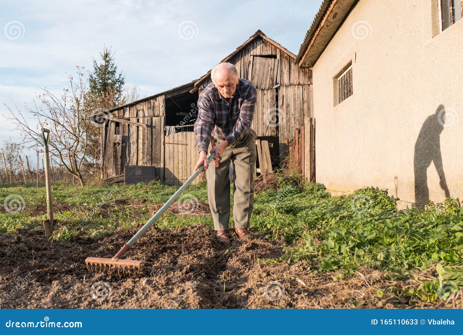 Farmer Working with a Rake in the Garden Stock Image - Image of ...