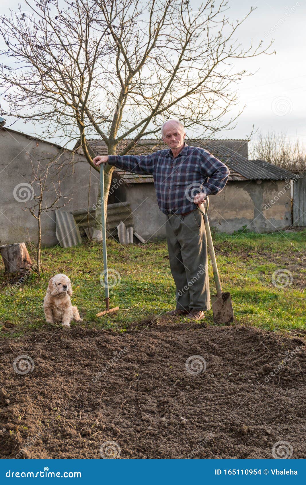 Farmer Working with a Rake in the Garden Stock Photo - Image of people ...